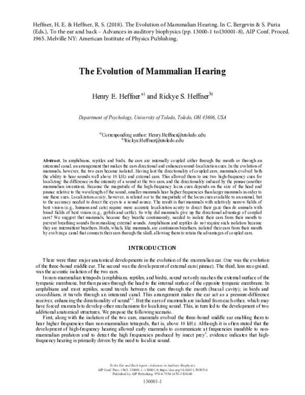 (PDF) The evolution of mammalian hearing | Rickye Heffner - Academia.edu