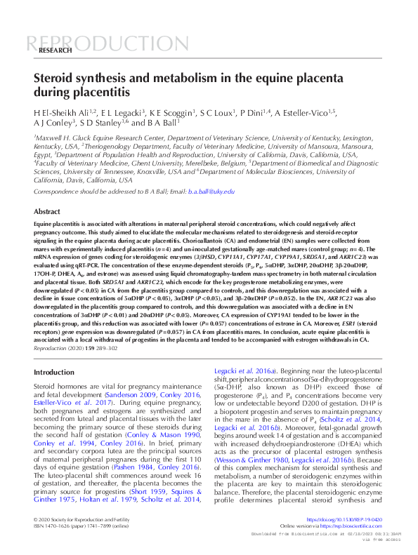 (PDF) Steroid synthesis and metabolism in the equine placenta during ...