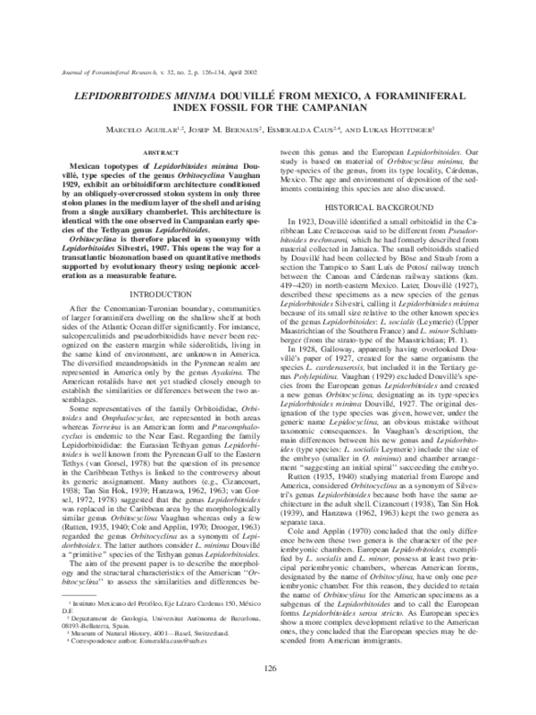 (PDF) Lepidorbitoides Minimadouvillé from Mexico, a Foraminiferal Index ...