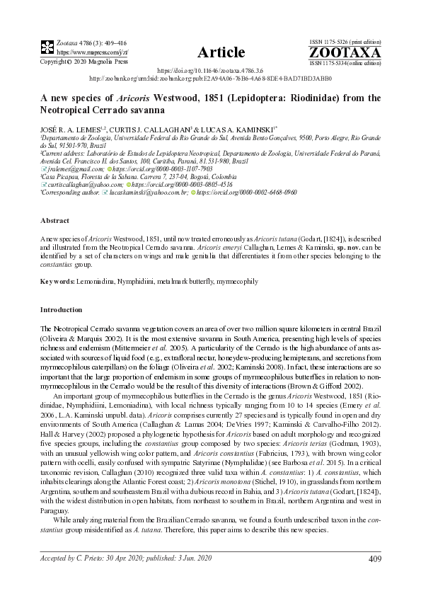 (PDF) A new species of Aricoris Westwood, 1851 (Lepidoptera: Riodinidae ...