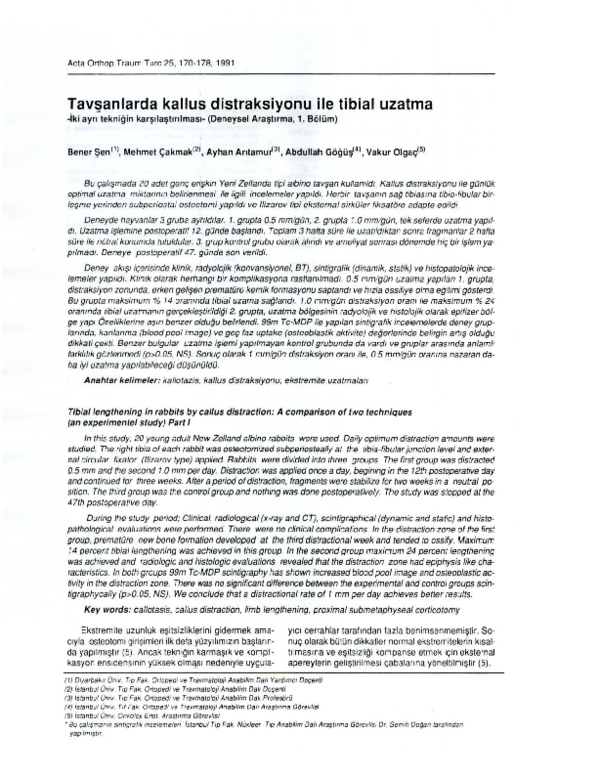 (PDF) Tibial lengthening in rabbits by callus distraction: A comparison ...