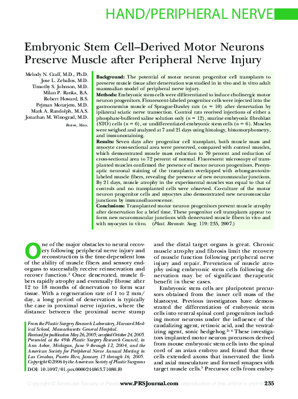 (PDF) Embryonic Stem Cell???Derived Motor Neurons Preserve Muscle after ...