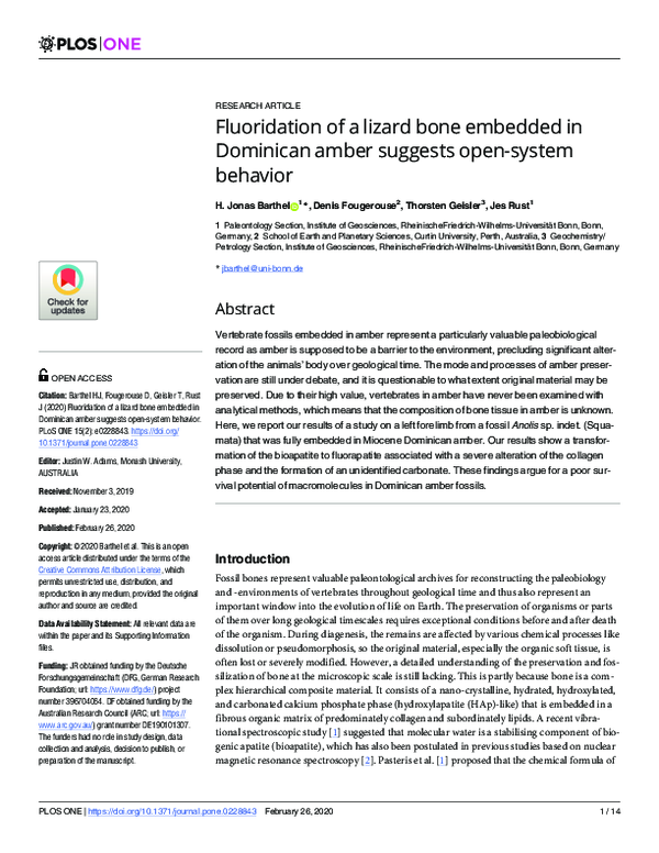 (PDF) Fluoridation of a lizard bone embedded in Dominican amber suggests open-system behavior