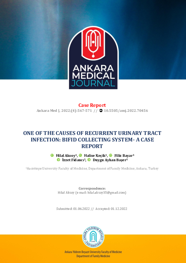 (PDF) One of the Causes of Recurrent Urinary Tract Infection: Bifid ...