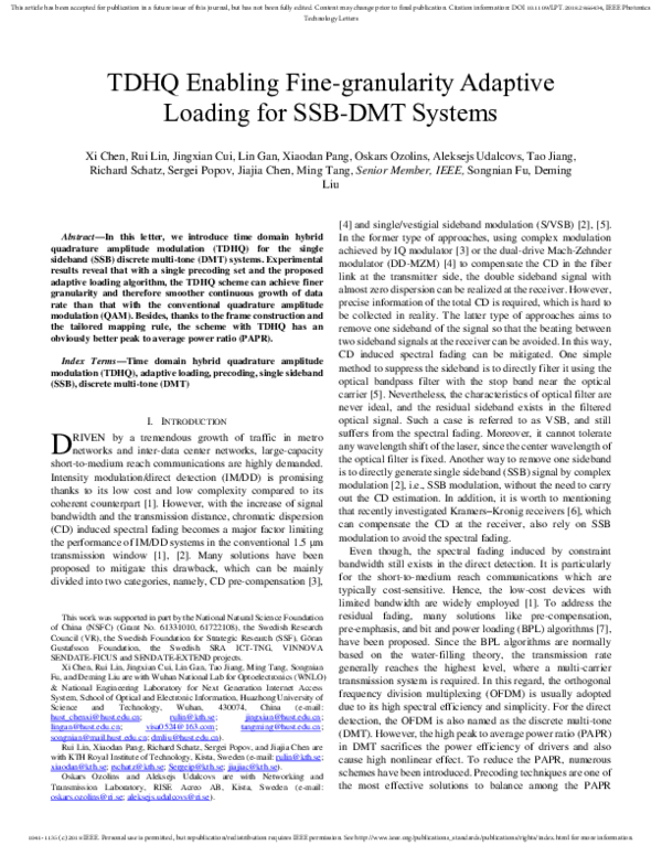 (PDF) TDHQ Enabling Fine-Granularity Adaptive Loading for SSB-DMT Systems