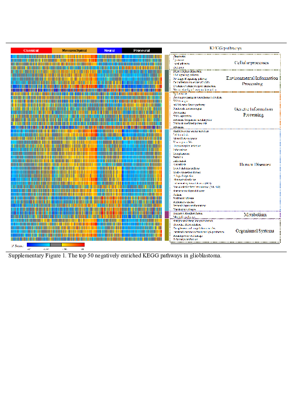 (PDF) Sample Level Enrichment Analysis of KEGG Pathways Identifies Clinically Relevant Subtypes ...