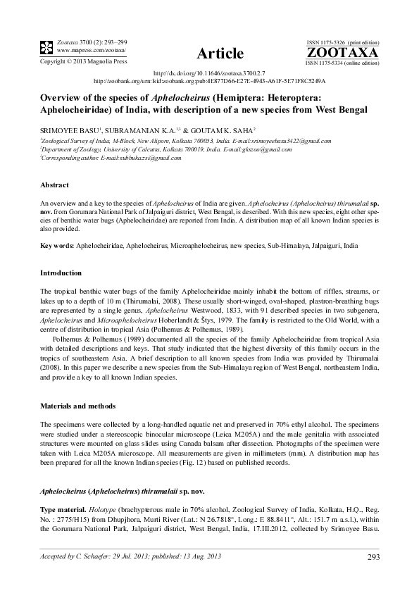 (PDF) Overview of the species of Aphelocheirus (Hemiptera: Heteroptera ...