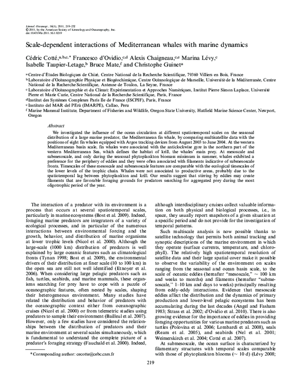 (PDF) Scale-dependent interactions of Mediterranean whales with marine ...