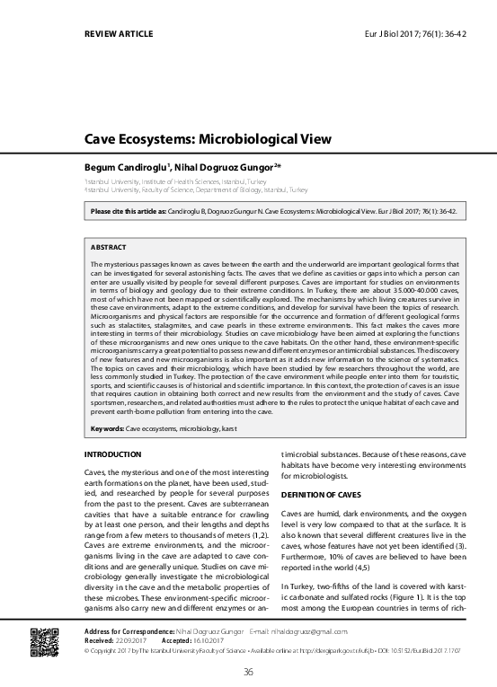 (PDF) Cave Ecosystems: Microbiological View