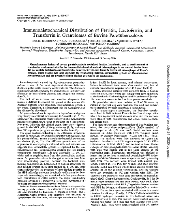 (PDF) Immunohistochemical distribution of ferritin, lactoferrin, and ...