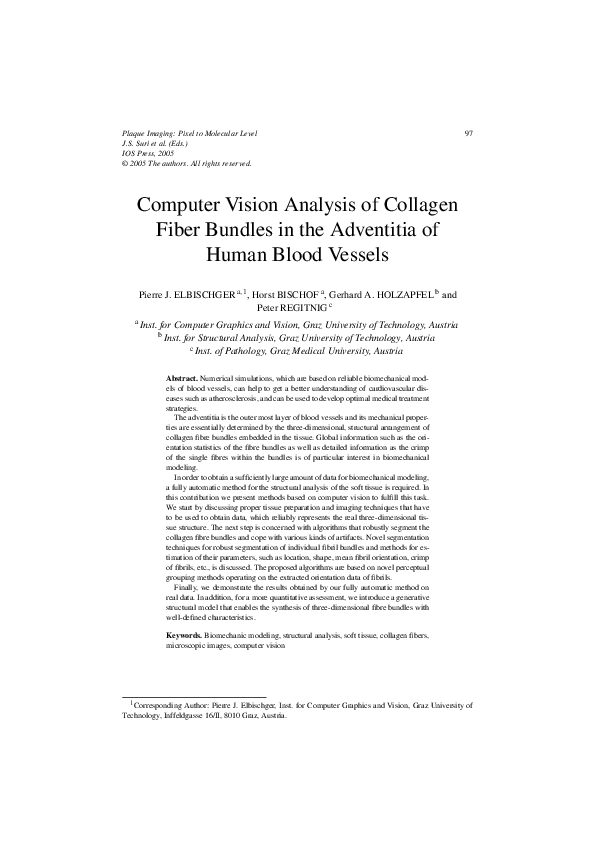 (PDF) Computer vision analysis of collagen fiber bundles in the ...