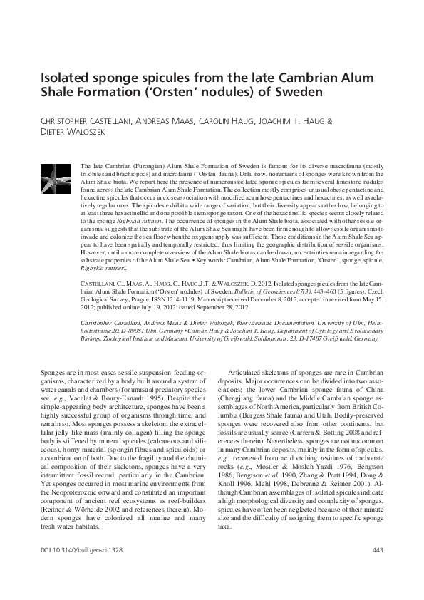 (PDF) Isolated sponge spicules from the late Cambrian Alum Shale ...