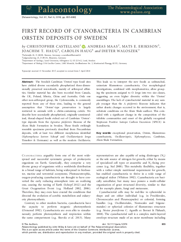 (PDF) First record of Cyanobacteria in Cambrian Orsten deposits of Sweden