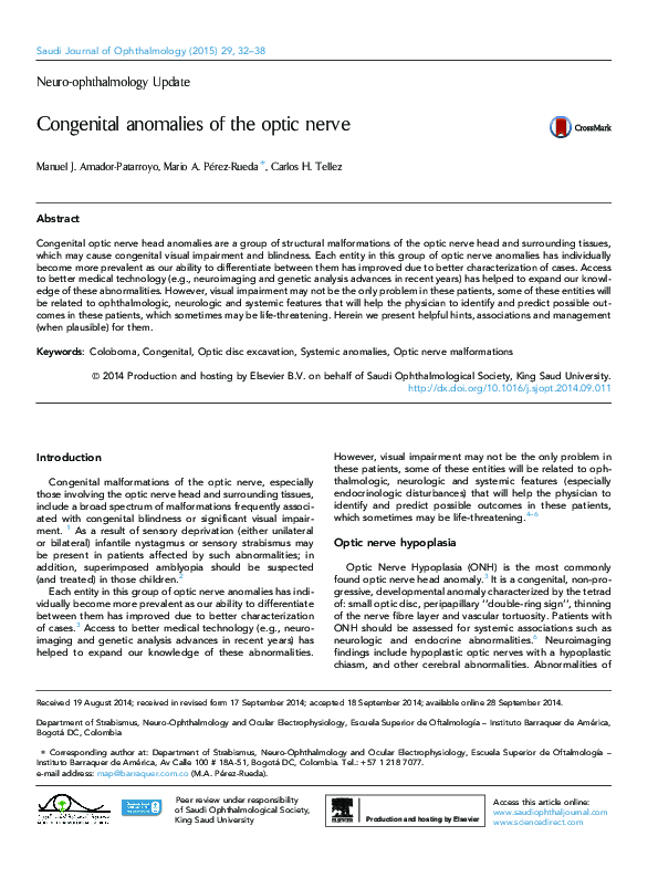 (PDF) Congenital Anomalies of the Optic Nerve