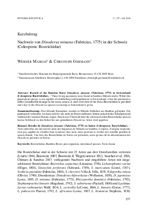 (PDF) Nachweis von Dinoderus minutus (Fabricius, 1775) in der Schweiz ...