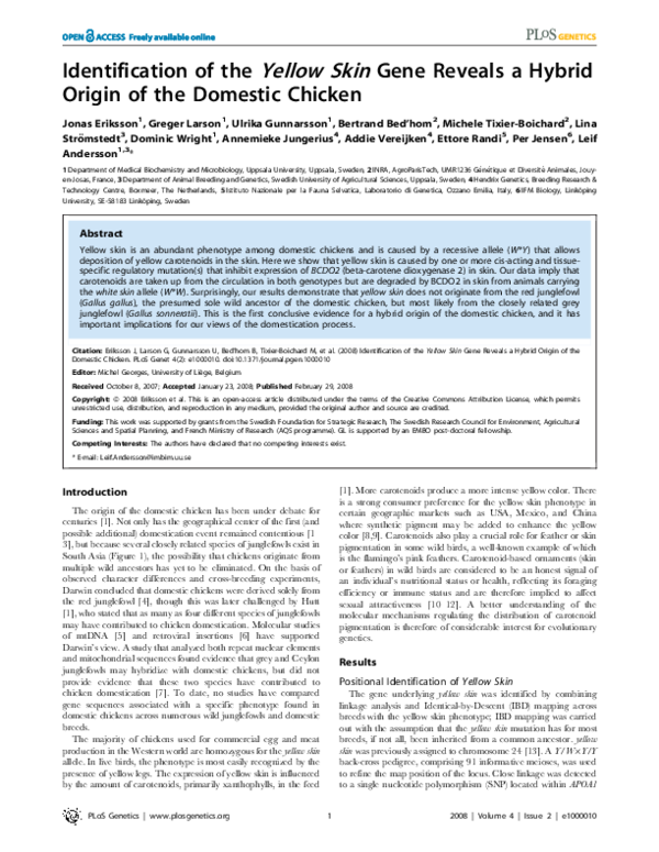 (PDF) Identification of the Yellow Skin Gene Reveals a Hybrid Origin of ...