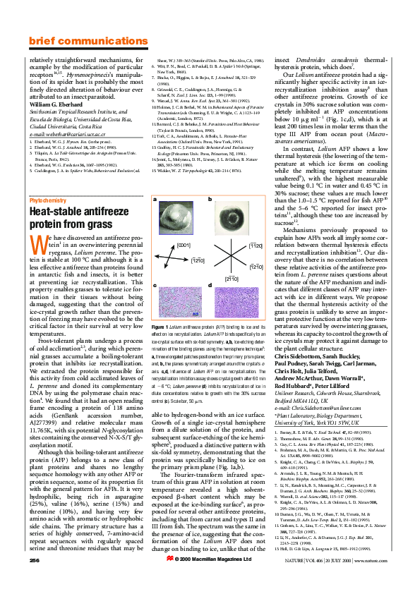 (PDF) Heat-stable antifreeze protein from grass