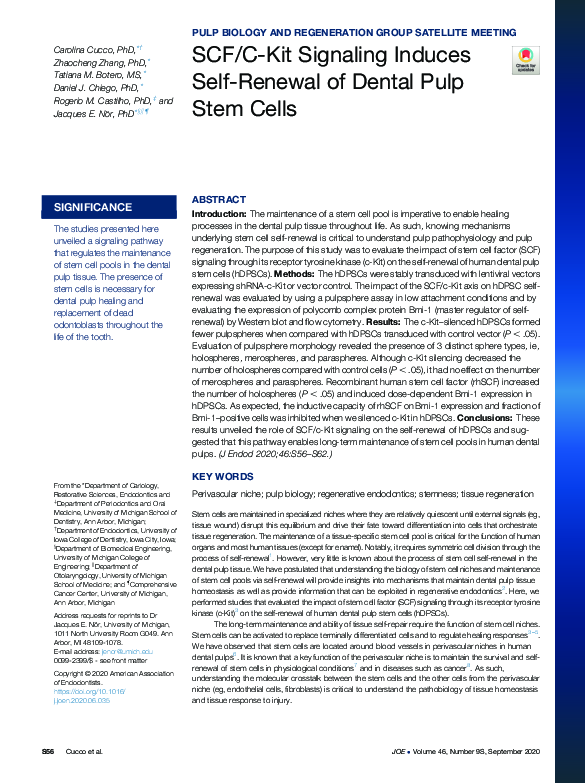 (PDF) SCF/C-Kit Signaling Induces Self-Renewal of Dental Pulp Stem Cells