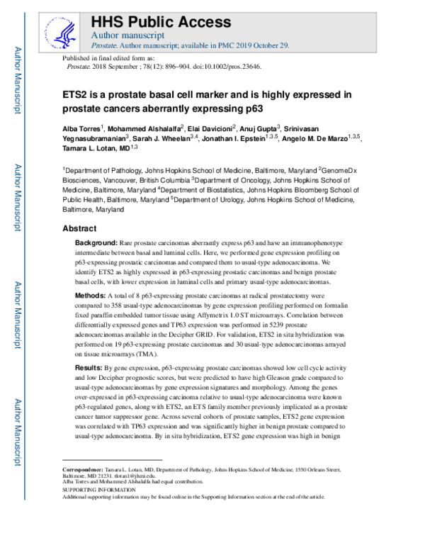 (PDF) ETS2 is a prostate basal cell marker and is highly expressed in ...