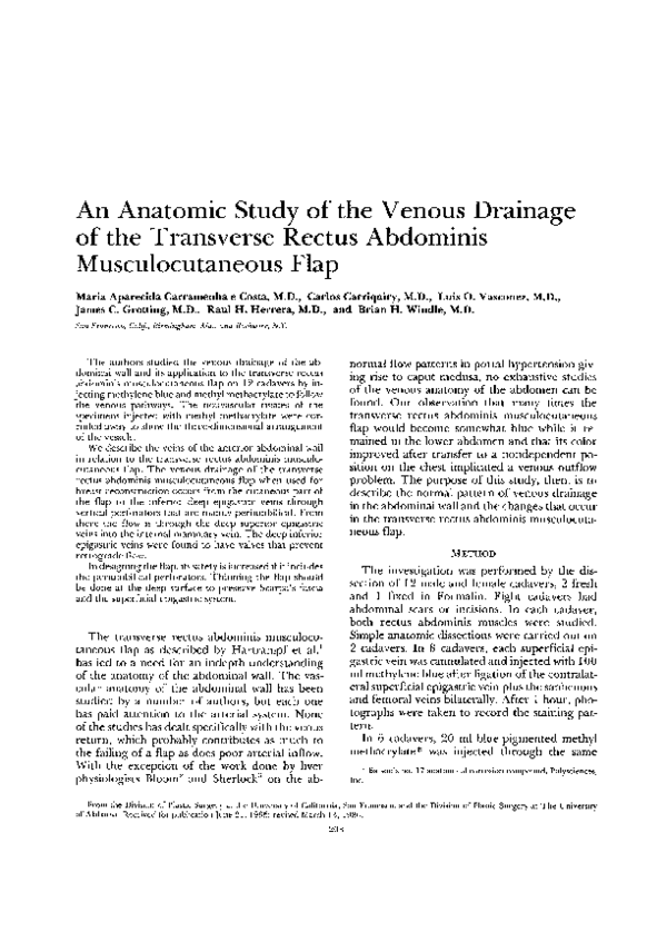 (PDF) An Anatomic Study of the Venous Drainage of the Transverse Rectus ...