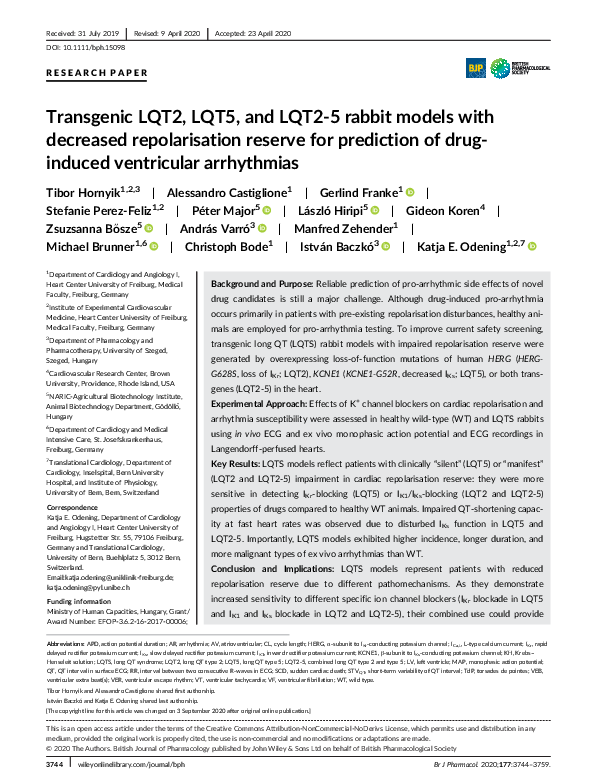 (PDF) Transgenic LQT2, LQT5, and LQT2‐5 rabbit models with decreased ...