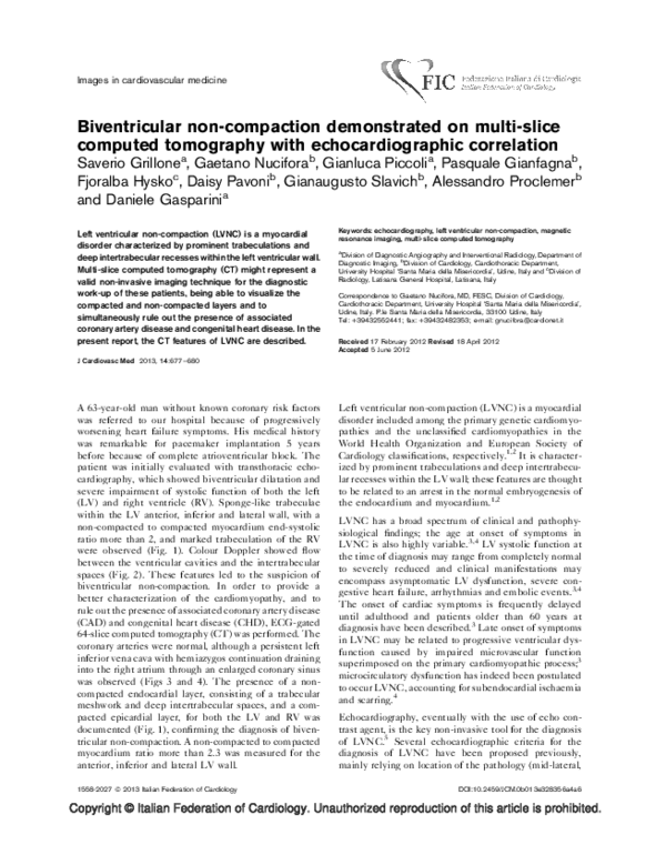 (PDF) Biventricular non-compaction demonstrated on multi-slice computed ...
