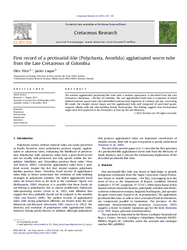 (PDF) First record of a pectinariid-like (Polychaeta, Annelida ...
