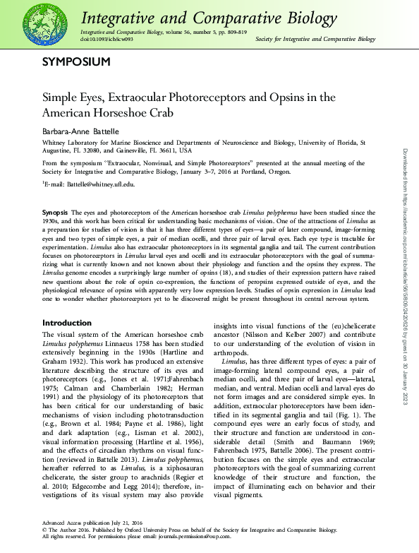 (PDF) Simple Eyes, Extraocular Photoreceptors and Opsins in the ...