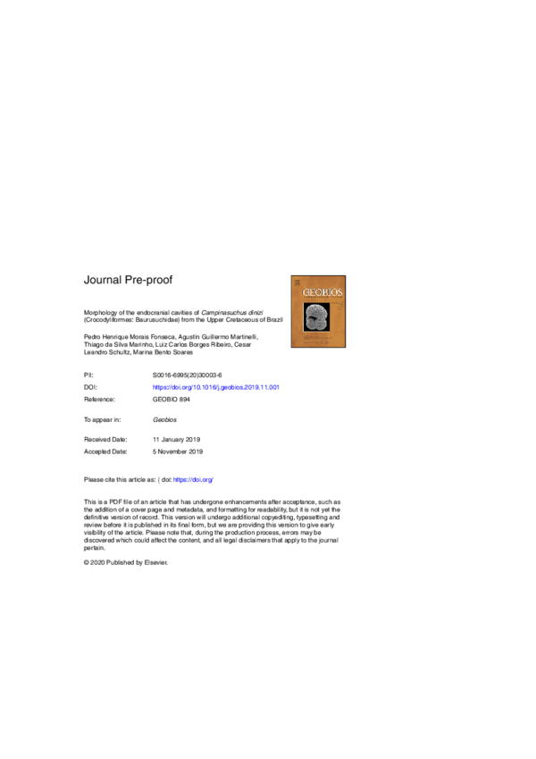 (PDF) Morphology of the endocranial cavities of Campinasuchus dinizi ...