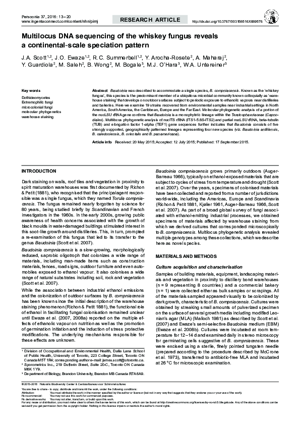 (PDF) Multilocus dnA sequencing of the whiskey fungus reveals a ...