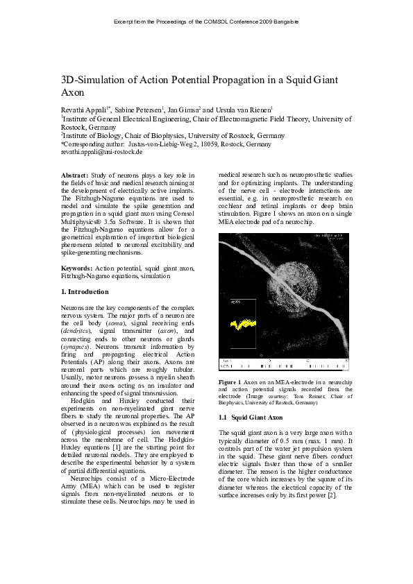 (PDF) 3D-Simulation of Action Potential Propagation in a Squid Giant Axon