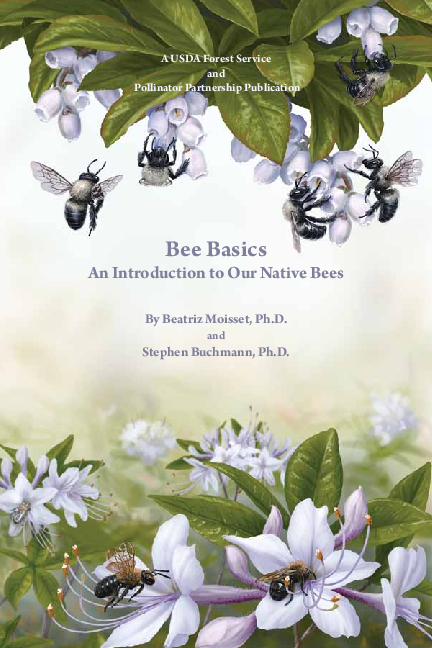 (PDF) Bee basics : an introduction to our native bees