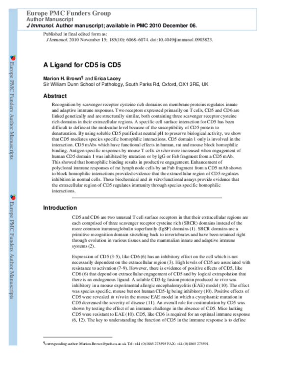 (PDF) A Ligand for CD5 Is CD5