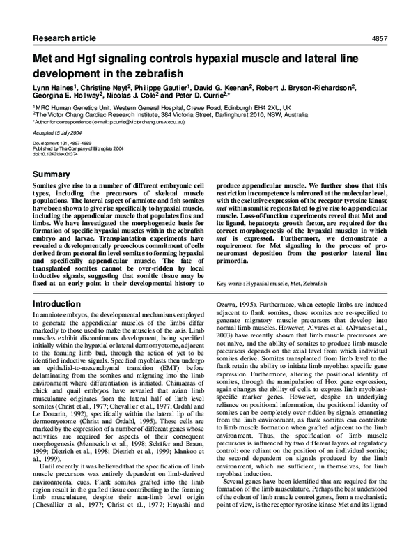 (PDF) Met and Hgf signaling controls hypaxial muscle and lateral line ...