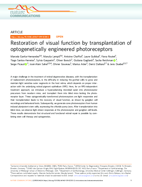 (PDF) Restoration of visual function by transplantation of ...