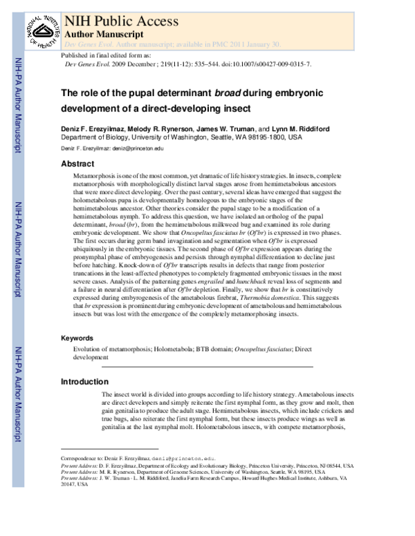(PDF) The role of the pupal determinant broad during embryonic ...