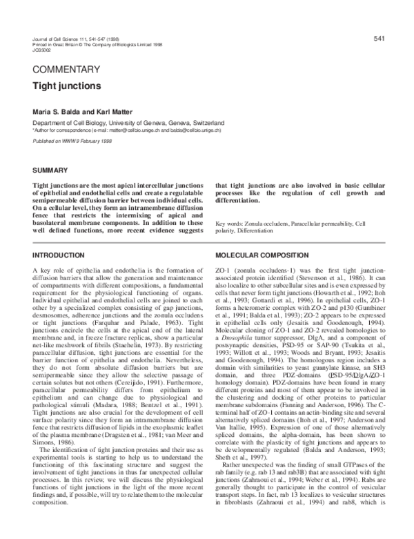 (PDF) Tight junctions