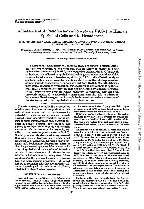 (PDF) Adherence of Acinetobacter calcoaceticus RAG-1 to human epithelial cells and to hexadecane