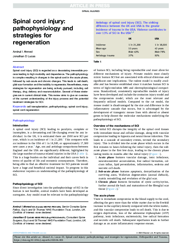 (PDF) Spinal cord injury: pathophysiology and strategies for regeneration