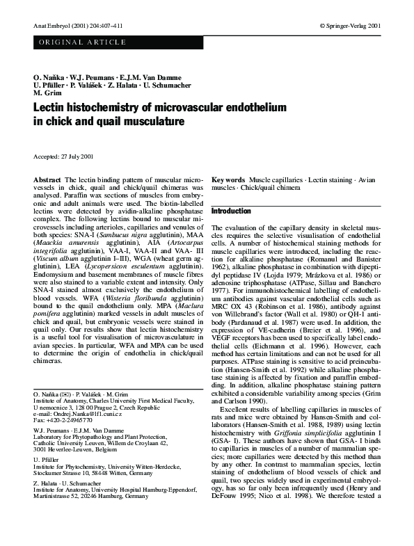 (PDF) Lectin histochemistry of microvascular endothelium in chick and ...