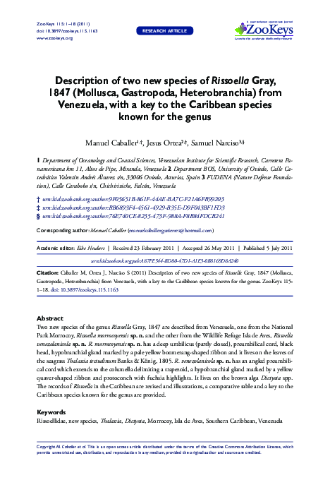 (PDF) New Rissoella Species from Venezuela and Key