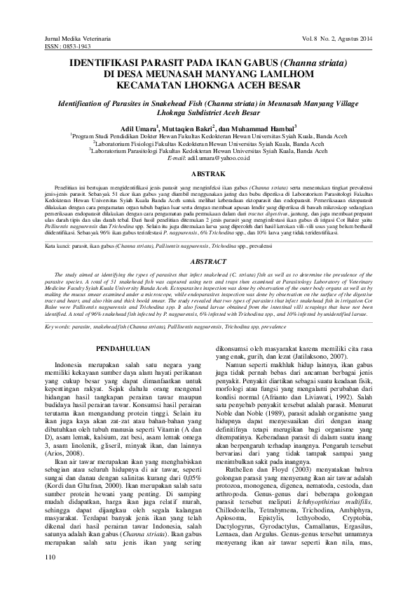 (PDF) IDENTIFIKASI PARASIT PADA IKAN GABUS (Channa striata) DI DESA ...