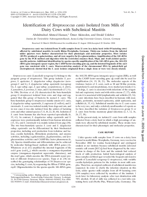 (PDF) Identification of Streptococcus canis Isolated from Milk of Dairy ...