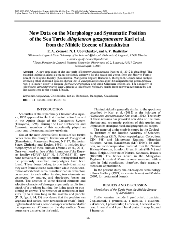 (PDF) New data on the morphology and systematic position of the sea ...