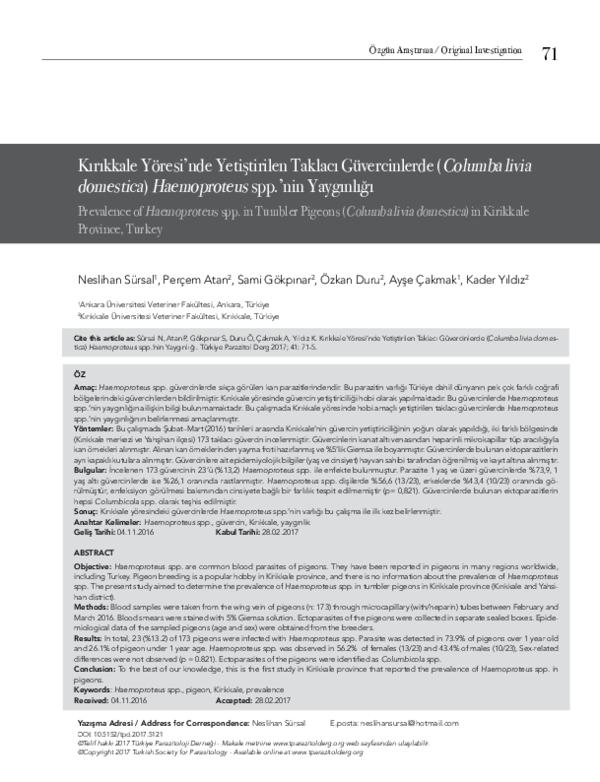 (PDF) Prevalence of Haemoproteus spp. in Tumbler Pigeons (Columba livia ...