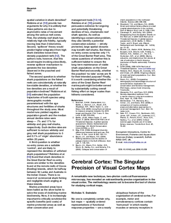 (PDF) Cerebral Cortex: The Singular Precision of Visual Cortex Maps
