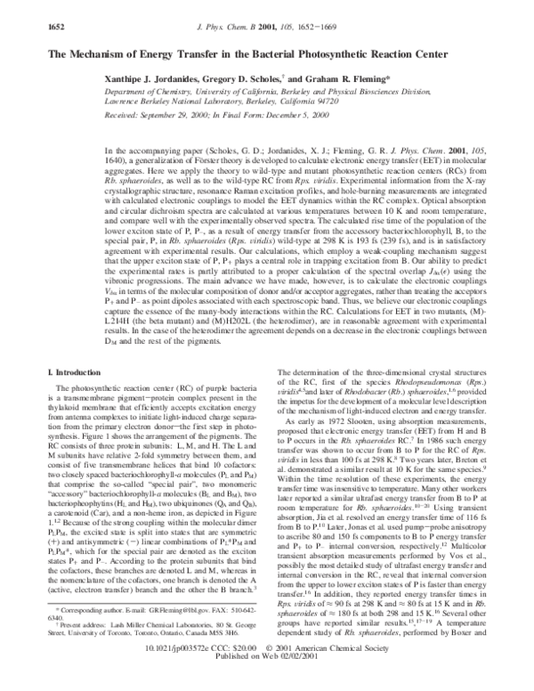 (PDF) The Mechanism of Energy Transfer in the Bacterial Photosynthetic ...