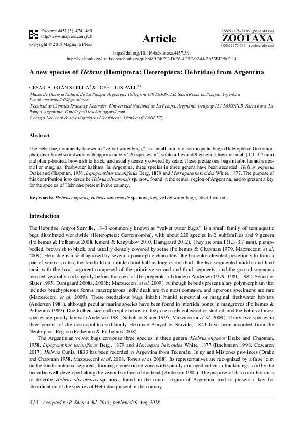 (PDF) A new species of Hebrus (Hemiptera: Heteroptera: Hebridae) from ...