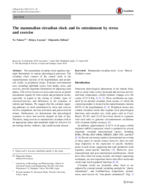 (PDF) The mammalian circadian clock and its entrainment by stress and exercise | Shigenobu ...
