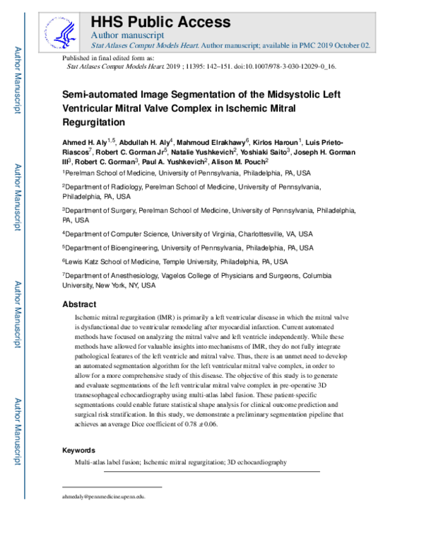 (PDF) Semi-automated Image Segmentation of the Midsystolic Left ...
